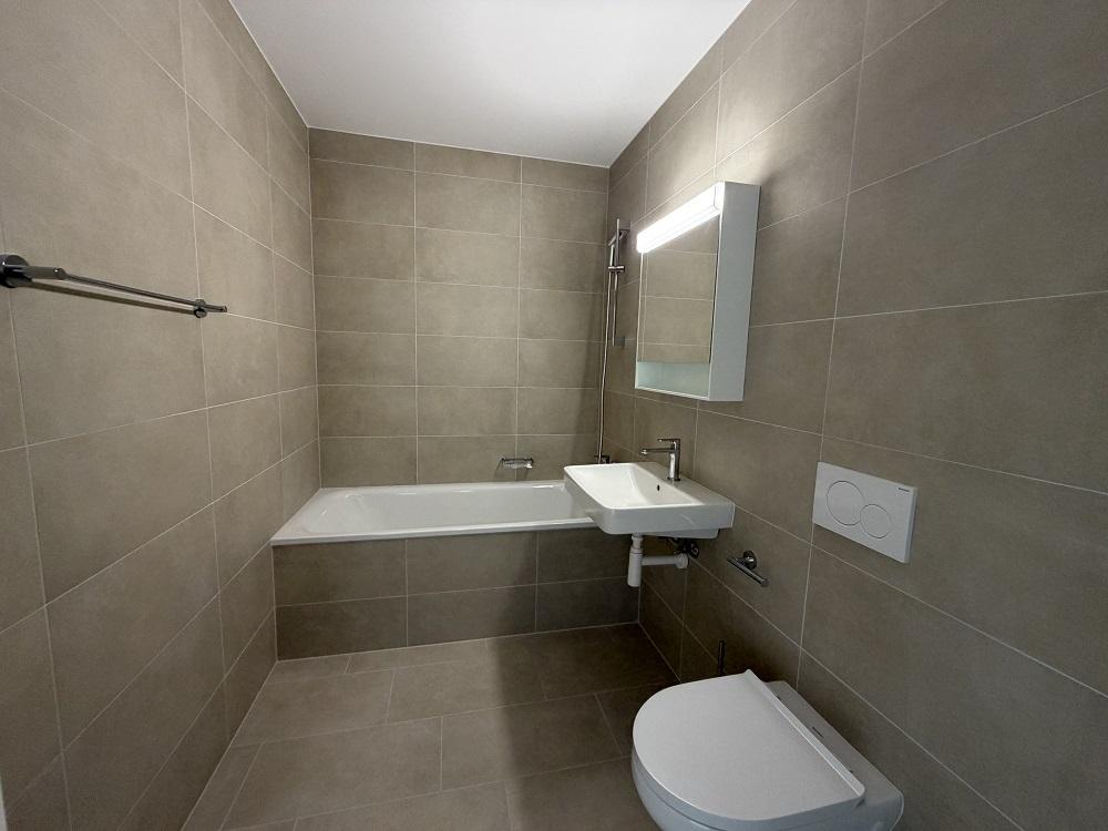 Appartement à louer 1.5 pièces 33m², Sion - 801070.000003